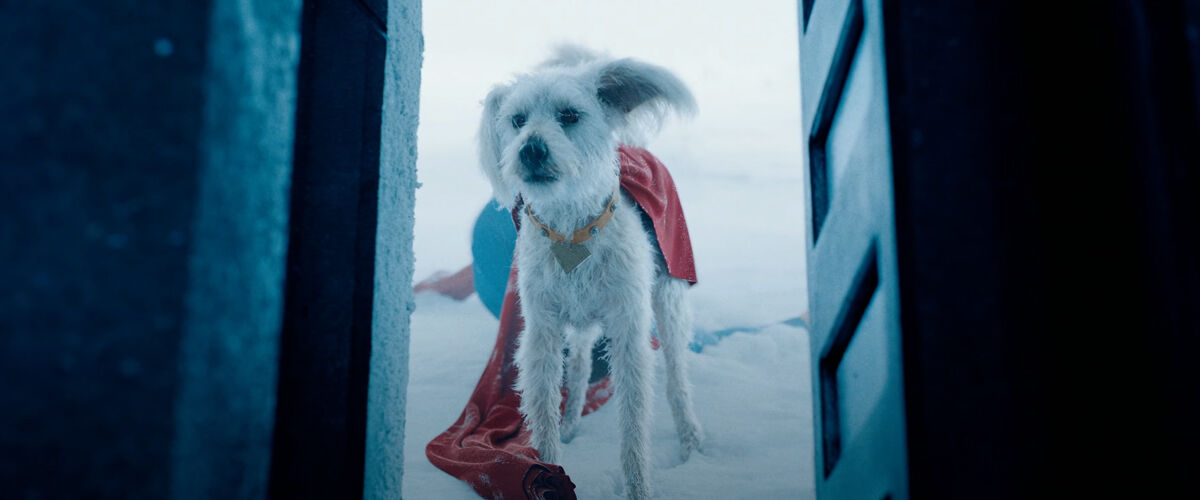 Movie review: Superman 2025 soars – Nik Dirga